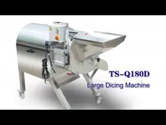 China 1000KG/H Professional fruit and vegetable dicing machine large yield lotus root dicing machine radish dicing machine for sale