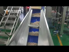 24 Head Screw Weigher Chopped Meat Weighing Packaging System