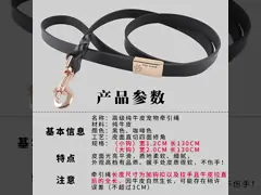 Nylon Neoprene Padded Soft Handle Strong Dog Lead Shock Absorbing Bungee Dog Leash dog harness