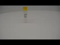Foreasy RNase Inhibitor