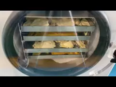 home freeze dryer