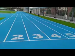 No Toxic Tartan Track Material EPDM Prefabricated Rubber Track
