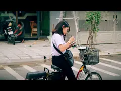 250w low cost 48v lcd display city electric dirt bike eu 20 inch 36V electric bike