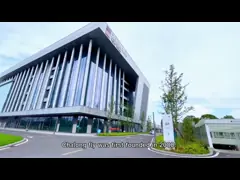Hunan ChaLong Fly Cross-Border E-Commerce Co., Ltd. Introduction