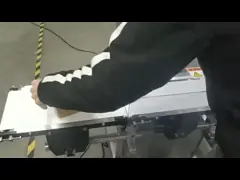 Stainless Steel Automatic Weighing machine VFFS  Electric