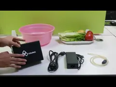 generatore dell'ozono del purificatore dell'aria 12V per disinfezione dell'ortaggio da frutto dell'automobile