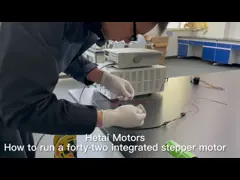 Stepper motor with integrated drive
