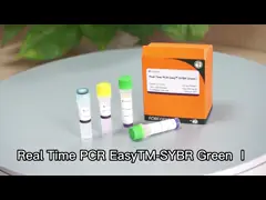 Real Time PCR EasyTM-SYBR Green Ⅰ