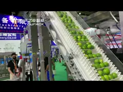 TOUPACK Green Lemon Weighing Mesh Bag Clipping Solution