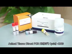 Animal Tissue Direct PCR Kit(65℃ lysis) -UNG