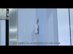 Cam Lock PU Panels Walk In Cold Room Freezer For Chicken Beef Modular Storage Room