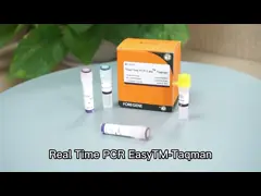 Real Time PCR EasyTM-Taqman