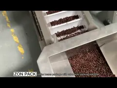 Macchina imballatrice di sigillatura laterale Gusseted automatica del sacchetto per il chicco di caffè