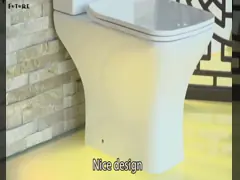 Automatic Deodorization Villa Two Piece Water Closet Close Coupled Bidet Toilet