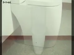 Water Closet Toilet Cover Close Coupled Bathroom Toilet CC