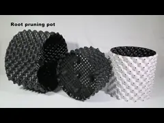 China ISO9001 50 Gallon Plastic Plant Pots Fast Growth Tree Root Container for sale