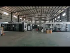 China Biodegradation 2mm Lunch Plastic Container Making Machine Pvc Thermoforming Machine for sale