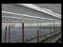 Industrial Thermal Nets Making Machine High Speed Anti Corrosion