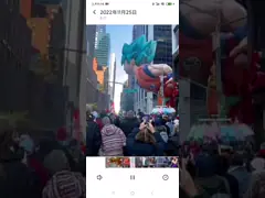 パーソナルフォームのPVC巨人