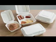 Sugarcane Bagasse Eco Friendly Disposable Food Containers For Takeaway 8 Inch