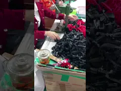 Déclencheur compact avec la solution de distribution souple de tube d‘extension