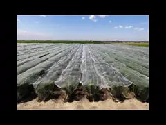 40 Mesh HDPE Anti Insect Mosquito Net Machine Knotless Type