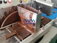 China New Arrival Multi-function Chocolate Enrobing Machine for Ice Cream for Cookie Coating for sale