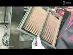 metal oxide varistor