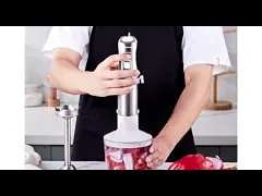 1개의 침수 믹서 세트에 대하여 800 와트 4, 전기 단속기 믹서 믹서