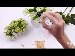 Private Label Vagina Cleaning Pops Pills Organic Boric Acid Capsules Vaginal Suppositories Yoni Pops