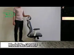 0817ergonomic mesh chair