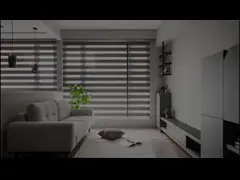 Zebra Blinds