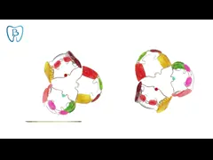 Invisible Removable Dentures Wisdom Teeth Big Teeth Restoration Implant Covering Temporary