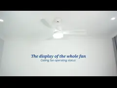 Airflow Plastic Indoor Ceiling Fan Reversible DC Motor High RPM