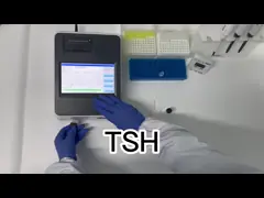 FIA 실시간 PCR 키트 갑상선 자극 호르몬 TSH 테스트 키트