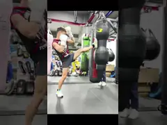 Custom Pvc Boxing Bag Free Standing Kick Boxing punching bag hanger Boxing Heavybags