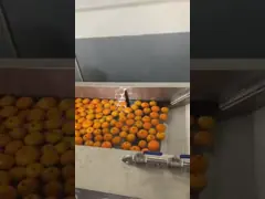 China High Quality Customizable Orange production plant New fruit Juice Processing Machine Complete Orange/Lemon/Tangerine juice processing equipment for sale