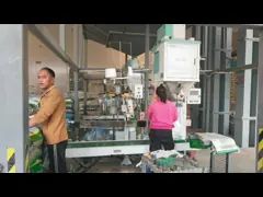 Ewinall 50FE1 single bucket scale high precision Suitable for rice, beans, feed, etc.