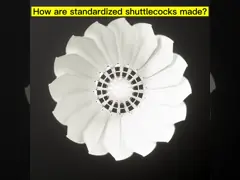 3D Badminton Production Video