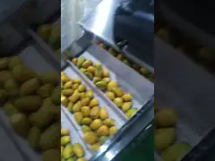 Macchina di lavorazione del succo di mango di alta qualità personalizzata