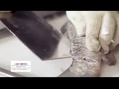 전기 상업용 낚시 기계 큰 용량 4/6/8