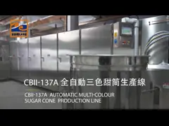 China PLC Stainless Steel Customizable Sugar Cone Producing Equipment for sale