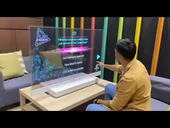 Transparent LCD