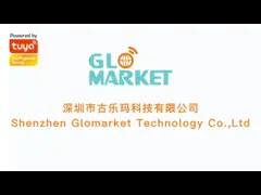 cámara llena del Smart Camera HD Wifi Alexa Google PIR Detection Security PTZ de 1080P Tuya