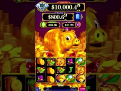 Rakin Bacon Arcade Machine Board Slot Coin Machine Double Screen
