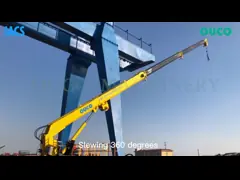 0.2T20M Telescopic Boom Crane