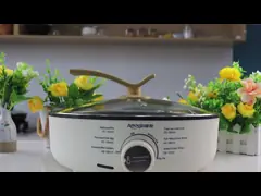 Electric Grills & Electric Griddles