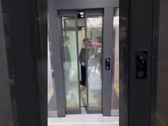 China 400kg Resident Pvc Floor Display Dot Matrix Small Villa Elevator Lift For Homes for sale