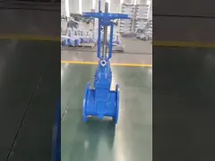 gate valve