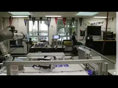 Chinese Robot Arm
